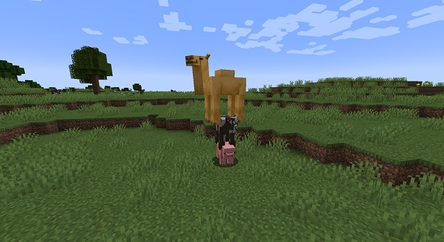 Cómo Usar El Comando Ride En Minecraft