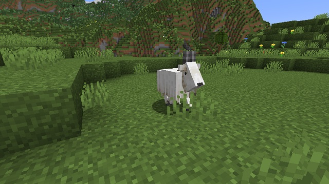 Cabras De Minecraft: Todo Lo Que Necesitas Saber