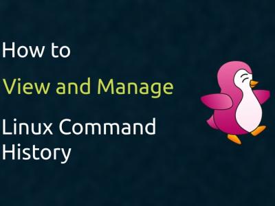 Bash If, Elif Y If Else Explicados Con Ejemplos